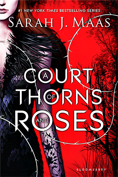 Popular Romance Novels With Protective Alpha Males - UPDATED 2019 ...